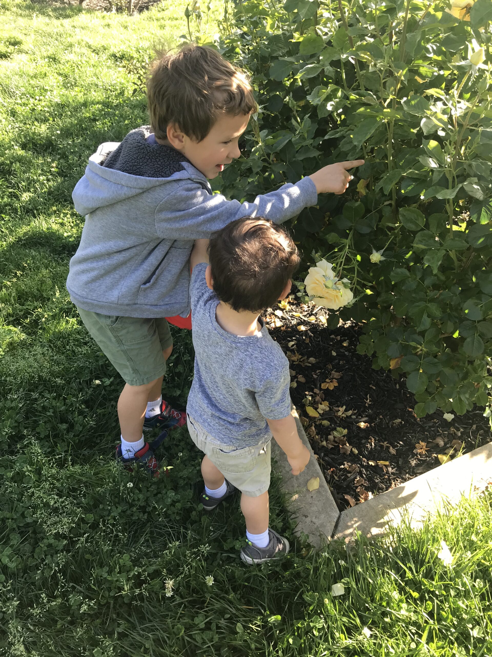 Children's Outdoor Bill of Rights