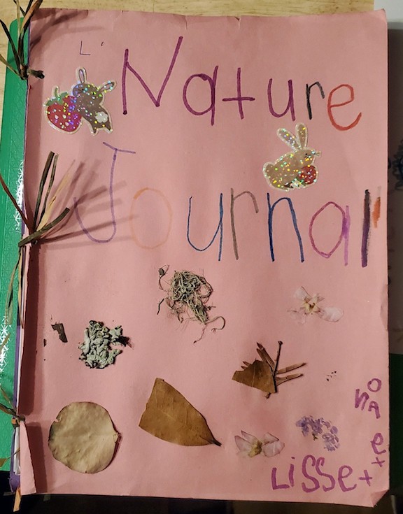 Nature Journals as a Core Practice