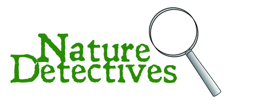 Nature Detectives Discover Clues to Mysteries of Outdoor World