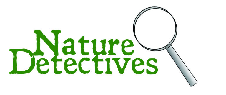 What is our Unique Approach to presenting Nature Detectives Programs?
