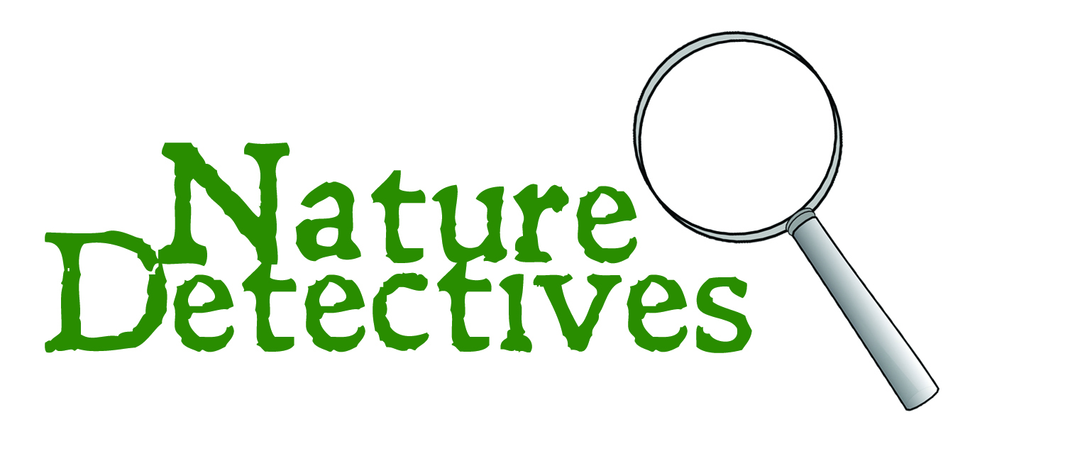 What is our Unique Approach to presenting Nature Detectives Programs?